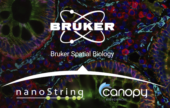 bruker-og-img.png?version=0